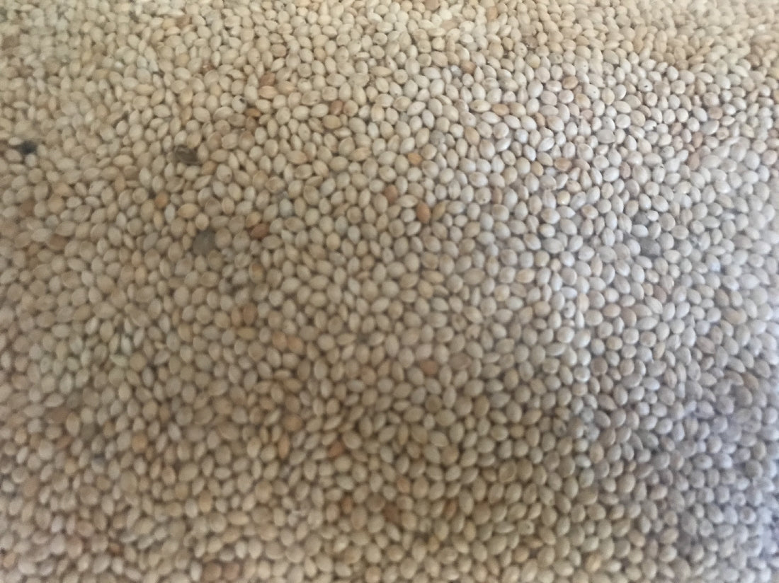 White French Millet 20kg – Price Produce